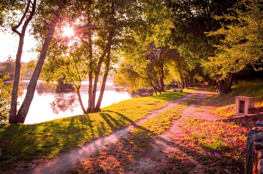 Sol e máxima a rondar os 29ºC nos vales do Homem e Cávado – O Amarense