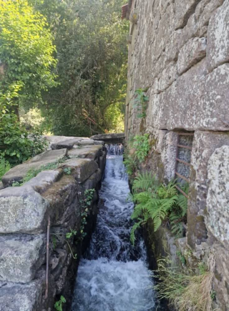 Rio Homem. Bico e Sabariz celebram beneficiação do açude na zona de ...