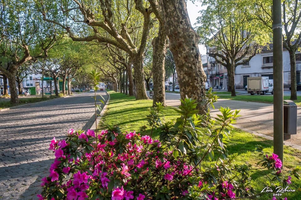 Chuva despede-se esta semana: sol e temperaturas a rondar os 20 graus ...