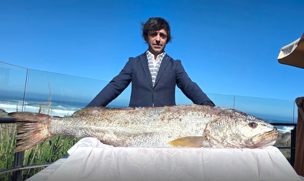 Corvina de 30 quilos pescada ao largo de Viana – O Vilaverdense